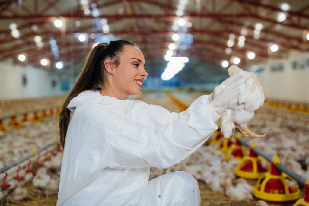 Poultry: What You Need to Know About AI in the Industry